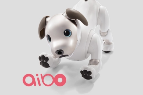 Aibo Resurrected: Sony's robot dog is back and better than ever - Gafencu