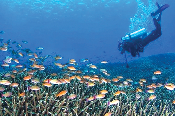 Vacation Island: The Philippines’ El Nido is the perfect island getaway