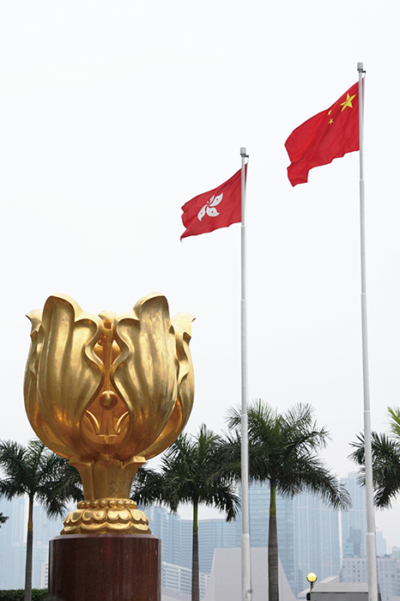 History of Hong Kong's Bauhinia Flower Flag | Culture | Gafencu - Gafencu