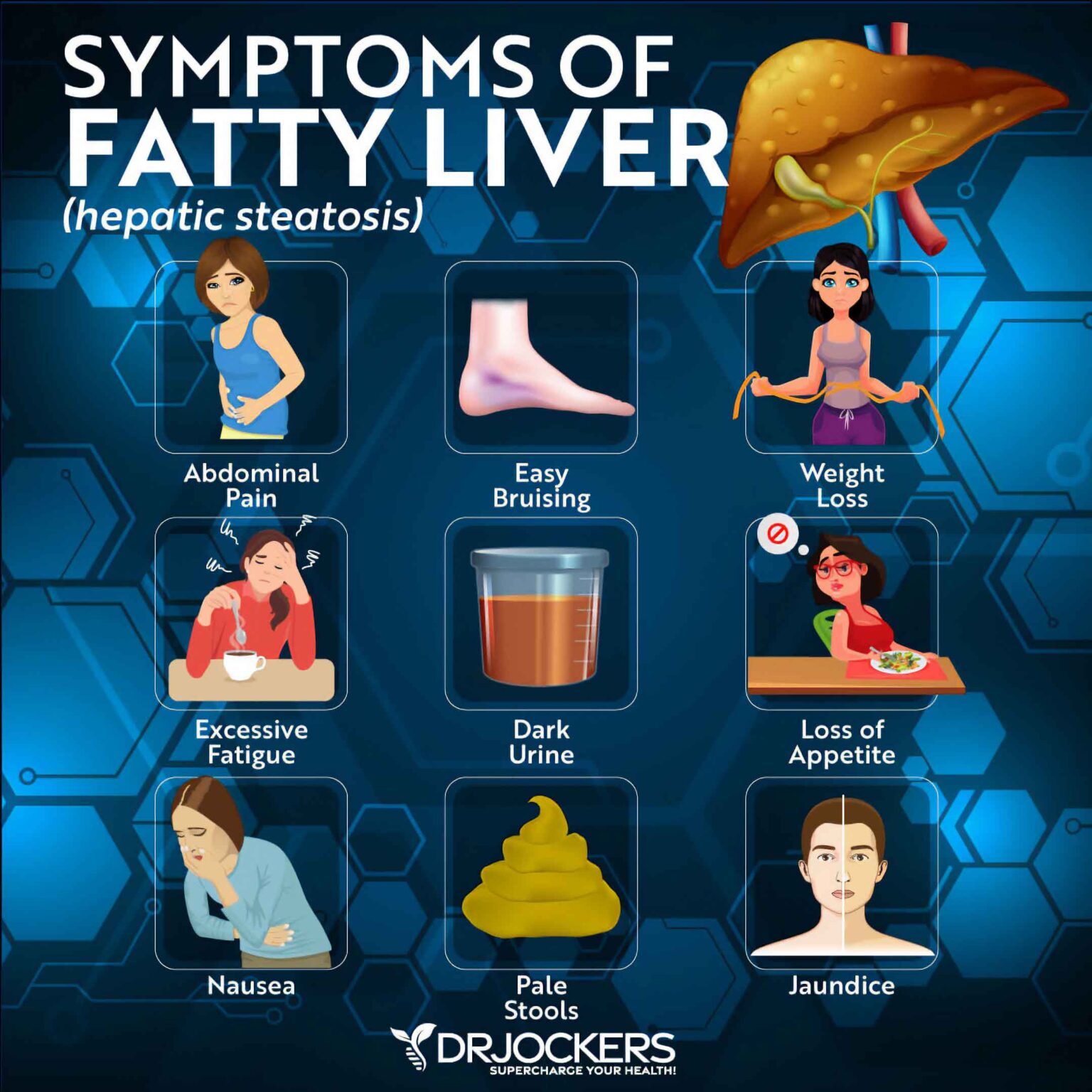 Liver to Regret: When the body’s filter becomes fatty, natural healing ...